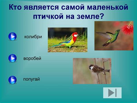 Викторина «В мире животных презентация онлайн