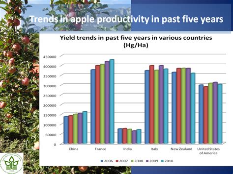 Farmers Club Apple Tree High Density Apple Plantations Why