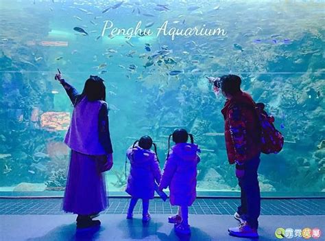 ★澎湖★ 澎湖水族館，超美海底隧道和精彩餵食秀 附活動時間表和行程安排推薦旅遊walkerland窩客島