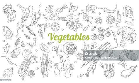 リニアグラフィック野菜の背景スカンジナビアスタイル健康食品ベクターイラスト手描きの果物や野菜の落書きセット アイコンのベクターアート素材や