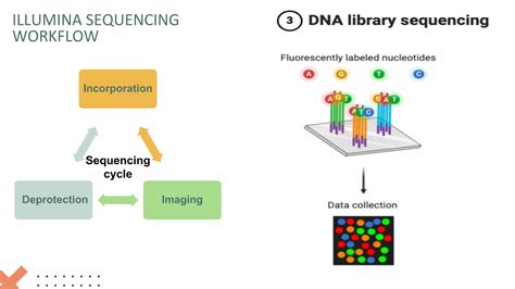 Generations Of Sequencing Technologies Pdf