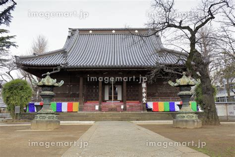 上野 寛永寺 根本中堂の写真素材 108360168 イメージマート