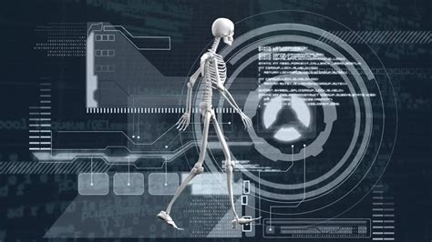 Animation Of Human Skeleton Scope Scanning Over Data Processing Free