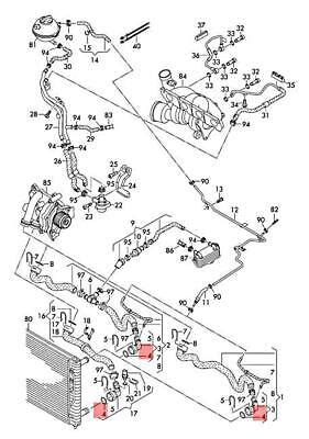 Genuine O-ring AUDI VW Audi A3 Cabriolet S3 Sportback Lim. quattro ...
