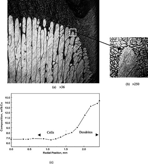 Showing Mixed Microstructure Of Cells And Dendrites G Download