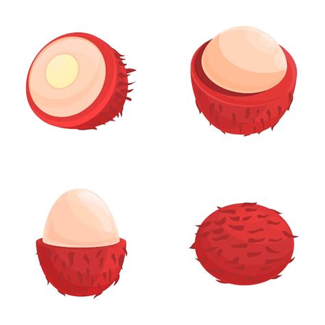 Iconos De Rambutan Rojo Set Vector De Dibujos Animados Fruta Tropical