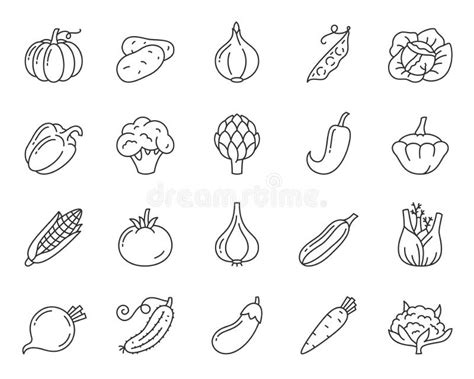 Corn Simple Cob Food Black Line Maize Vector Icon Stock Vector Illustration Of Black