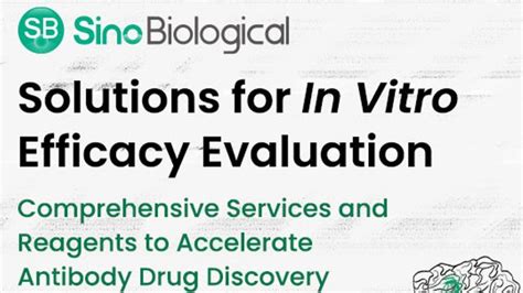 Comprehensive Solutions For In Vitro Efficacy Evaluation Technology