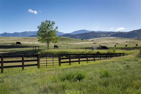 American Farms And Ranches At A Glance Aqan