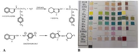 A Molecular Formula Of Leukocyte Esterase 12 B Detection Of
