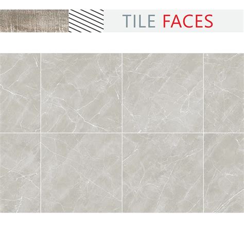 Cecilia Grey Ecotec Rectified Shiny Hard Body Ceramic Floor Tile X Mm