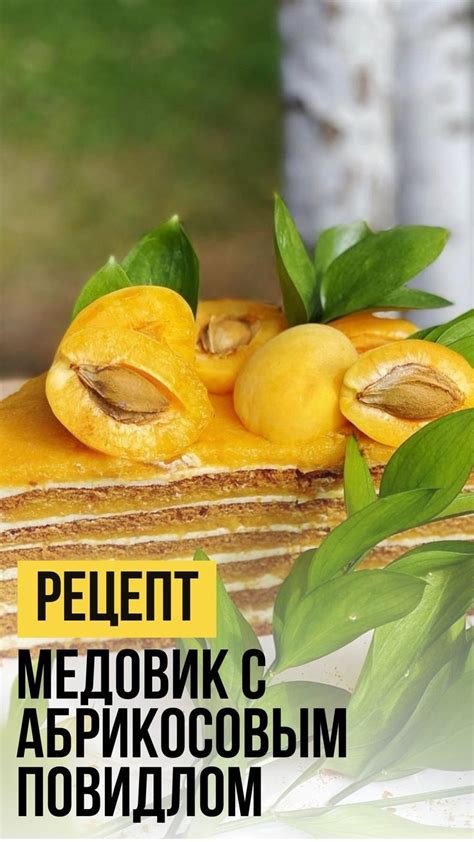 Рецепт Медовик с абрикосовым повидлом Recipe Food And Drink Food Recipes