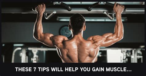 7 Tips You Need To Know About Gaining Muscle