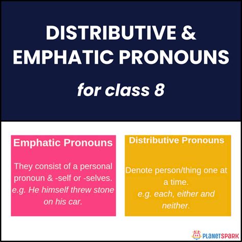 Class 8 English Worksheet On Types Of Determiners Planetspark