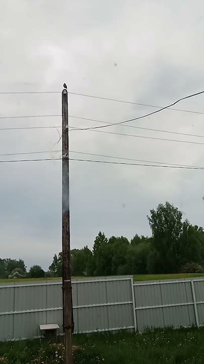 Стульчик для Отдыха Youtube