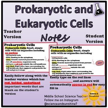 Prokaryotic And Eukaryotic Cells Digital Microsoft Powerpoint Notes