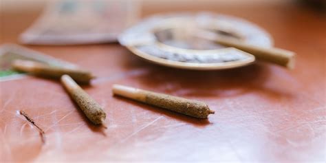 Can You Identify Different Types Of Dabs Take The Quiz Errly Bird