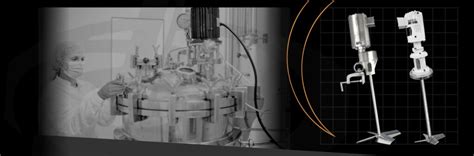 Sanitary Mixer Dynamix Agitators Inc