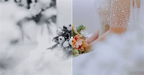 Wordpress Before After Slider Pro Code Canel