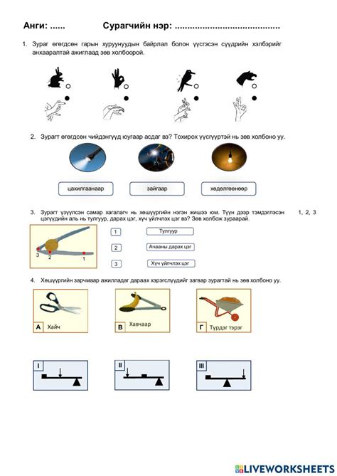 Хүн байгаль Activity For 5 Live Worksheets