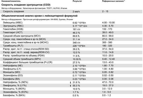 Mchc в анализе крови что это такое повышен у беременной