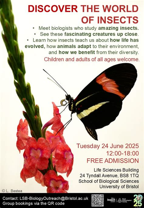 Insect Week 2025 Bristol Entomology Research Network