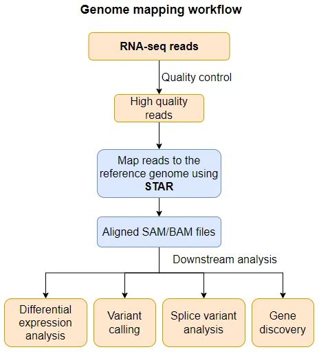 mastering rna seq read alignment with star
