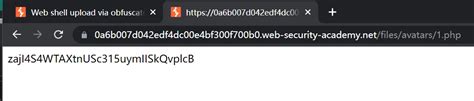 Portswigger Lab 文件上传漏洞 File Upload Vulnerabilities 🔰雨苁ℒ🔰