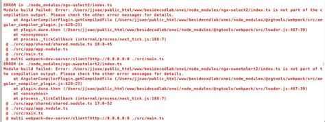 Angular V5 0 0 Is Not Part Of The Compilation Output Please Check The