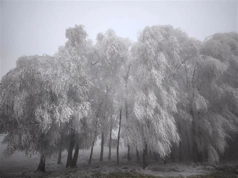 Sincelo Pinta Paisagens Do Norte E Centro De Portugal De Branco Veja