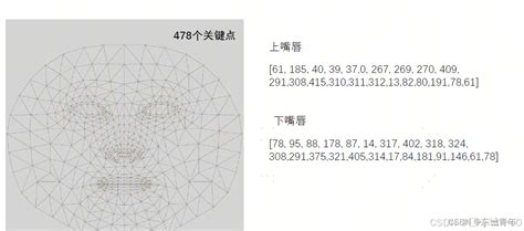 基于mediapipe的人脸关键点检测 Androidmediapipe人脸关键点 Csdn博客