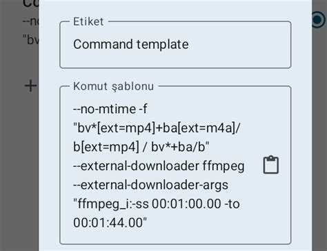 Format Error While Cutting Video And Downloading · Issue 399