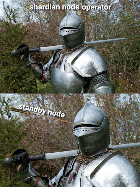 To All Node Operators Hehe R Shardeum