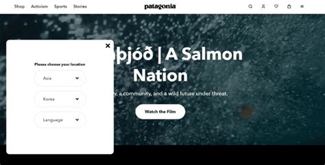 Ultimated Guide How To Design Squarespace Language Button