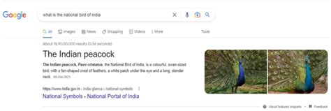 Build A Powerful Question Answering System With Pre‑trained Transformer Models Bert Huggingface