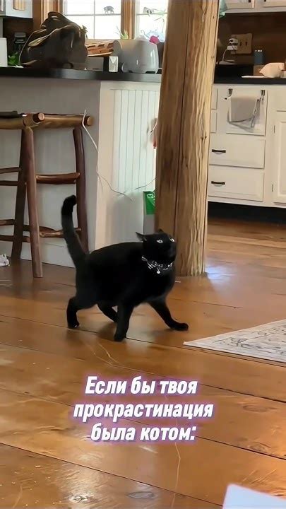 Прокрастинация Причины прокрастинации читай в комментариях