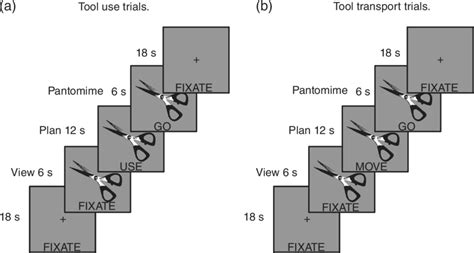 Schematic Of Trial Structure In The Tool Viewing Planning And Download Scientific Diagram