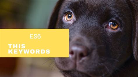 Javascript This Keyword Hindi Youtube