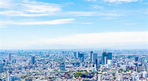 懲戒請求された弁護士の弁護士