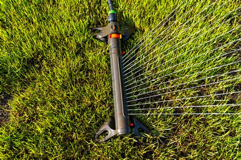 집 뒤뜰에 있는 잔디밭에 물을 주는 잔디 스윙 스프링클러 관개 장비에 대한 스톡 사진 및 기타 이미지 관개 장비 낮 녹색 Istock