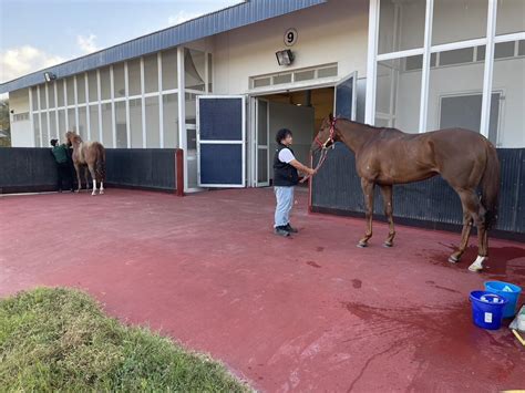 デルマソトガケ＆コンティノアールのケンタッキーダービー参戦の舞台裏は 安藤裕のハッピー（馬）ダイアリー 競馬コラム写真ニュース