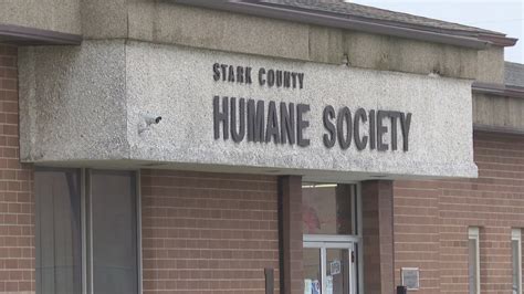 Stark County Sheriff Man Shot And Killed In Domestic Incident