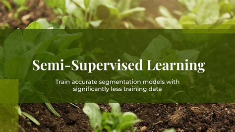 How to Train a Model with Only 62 Labeled Images using Semi-Supervised Learning - Supervisely ...