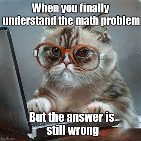 Math Cat Attack Playground