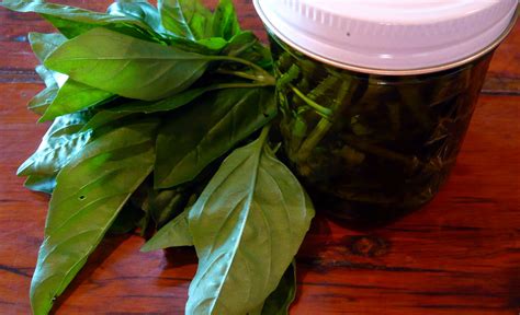 Preserving Herbs