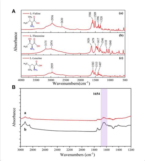 A Infrared Spectra Of Three Amino Acids Measured By The Potassium