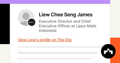 Liew Chee Seng James Executive Director And Chief Executive Officer