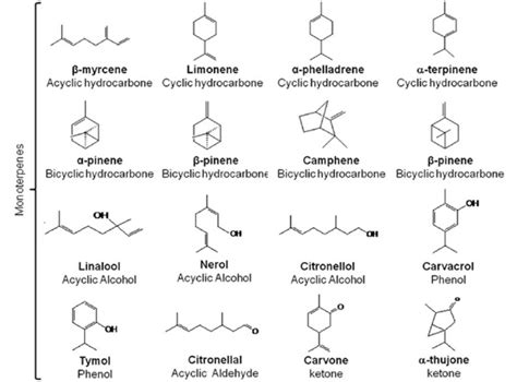 Cannabinoid Esters Can Terpenes Alcohols And Thc Acid Turn Into Them