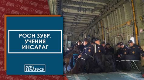 Республиканский отряд специального назначения «ЗУБР