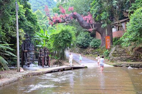 廣西壯族自治區賀州市昭平縣：養生之都，長壽之鄉，大美昭平縣 每日頭條